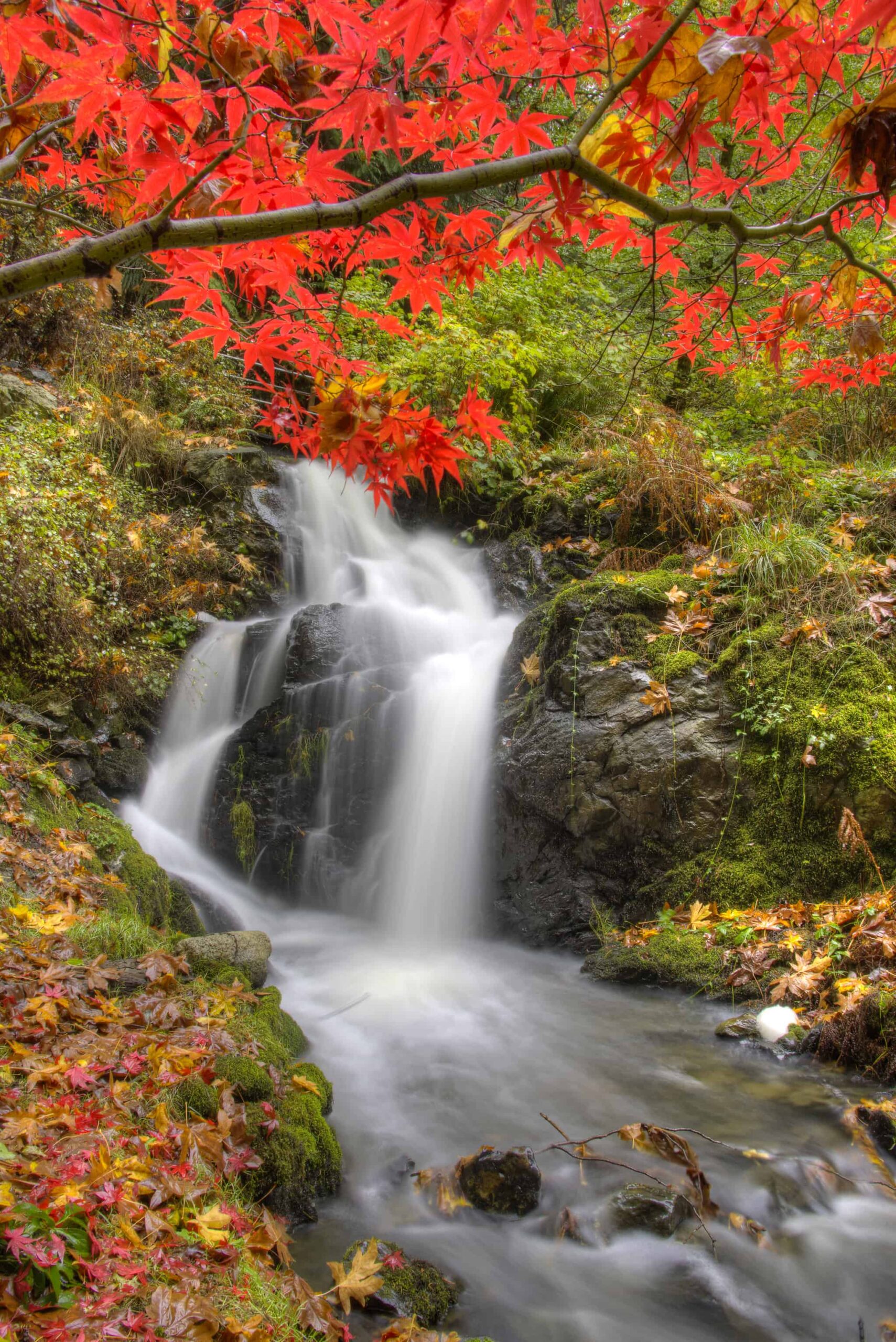 Highlands - Jeff Bishop